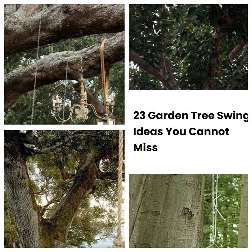 23 Garden Tree Swing Ideas You Cannot Miss | SharonSable