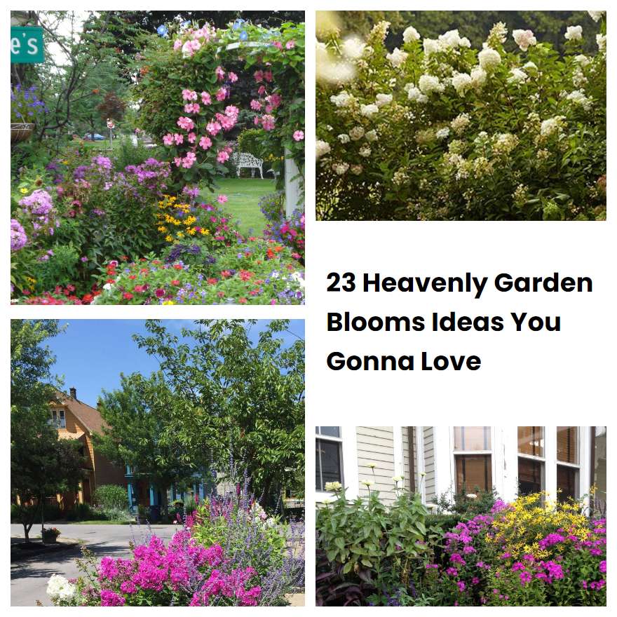 23 Heavenly Garden Blooms Ideas You Gonna Love | SharonSable