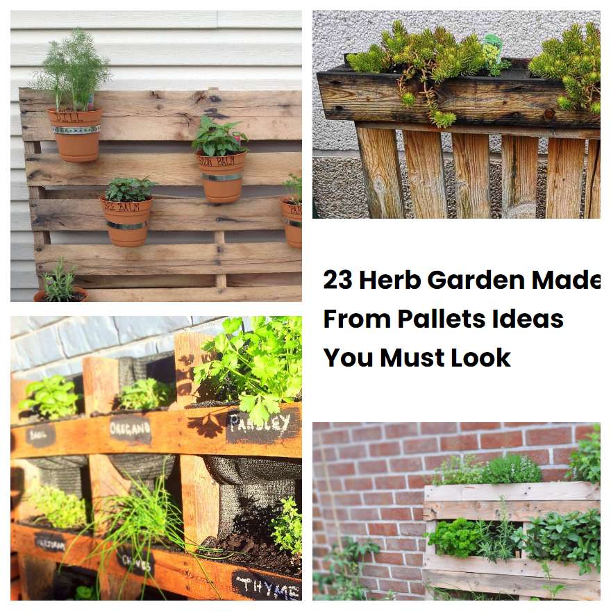 23 Herb Garden Made From Pallets Ideas You Must Look | SharonSable