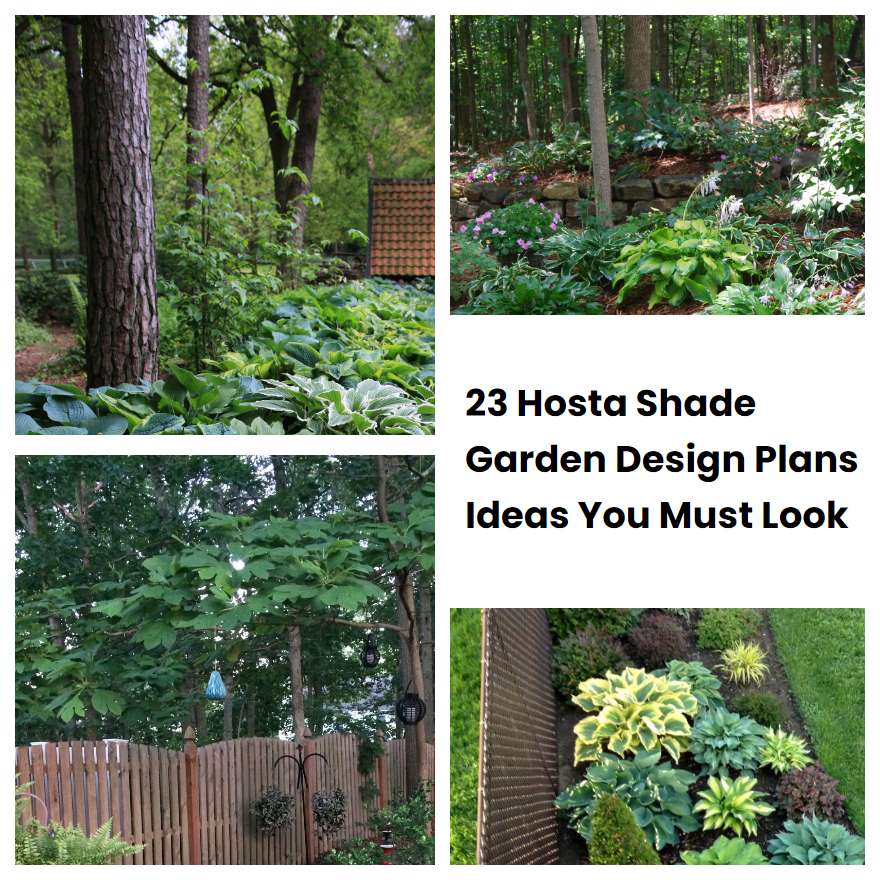 23 Hosta Shade Garden Design Plans Ideas You Must Look | SharonSable
