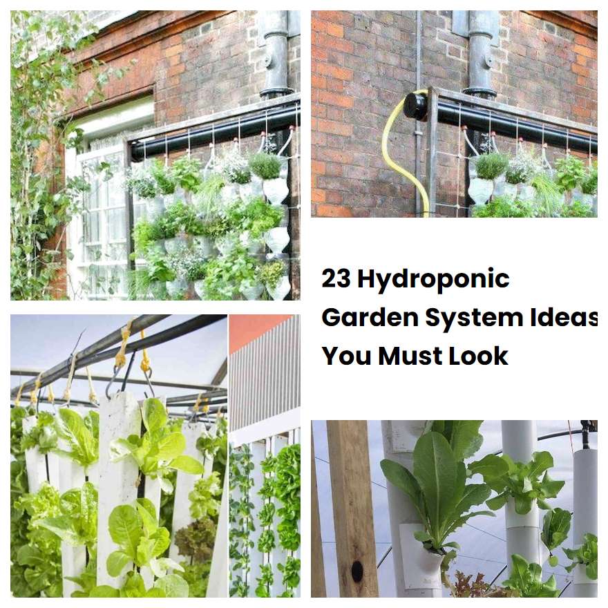 23 Hydroponic Garden System Ideas You Must Look | SharonSable