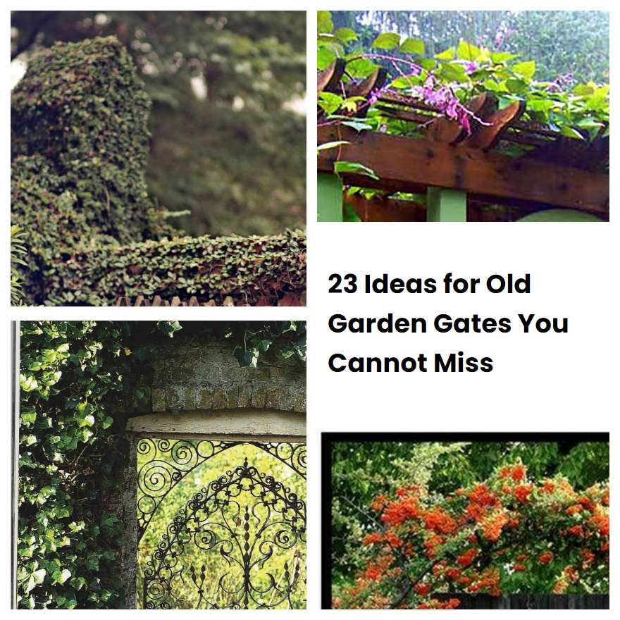 23 Ideas for Old Garden Gates You Cannot Miss | SharonSable