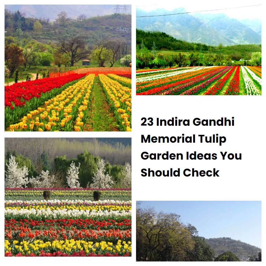 23 Indira Gandhi Memorial Tulip Garden Ideas You Should Check | SharonSable
