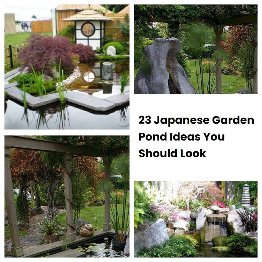 23 Japanese Garden Pond Ideas You Should Look | SharonSable