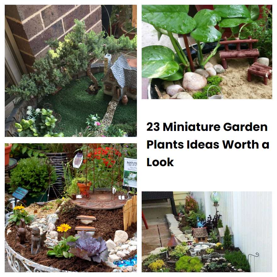 23 Miniature Garden Plants Ideas Worth a Look | SharonSable