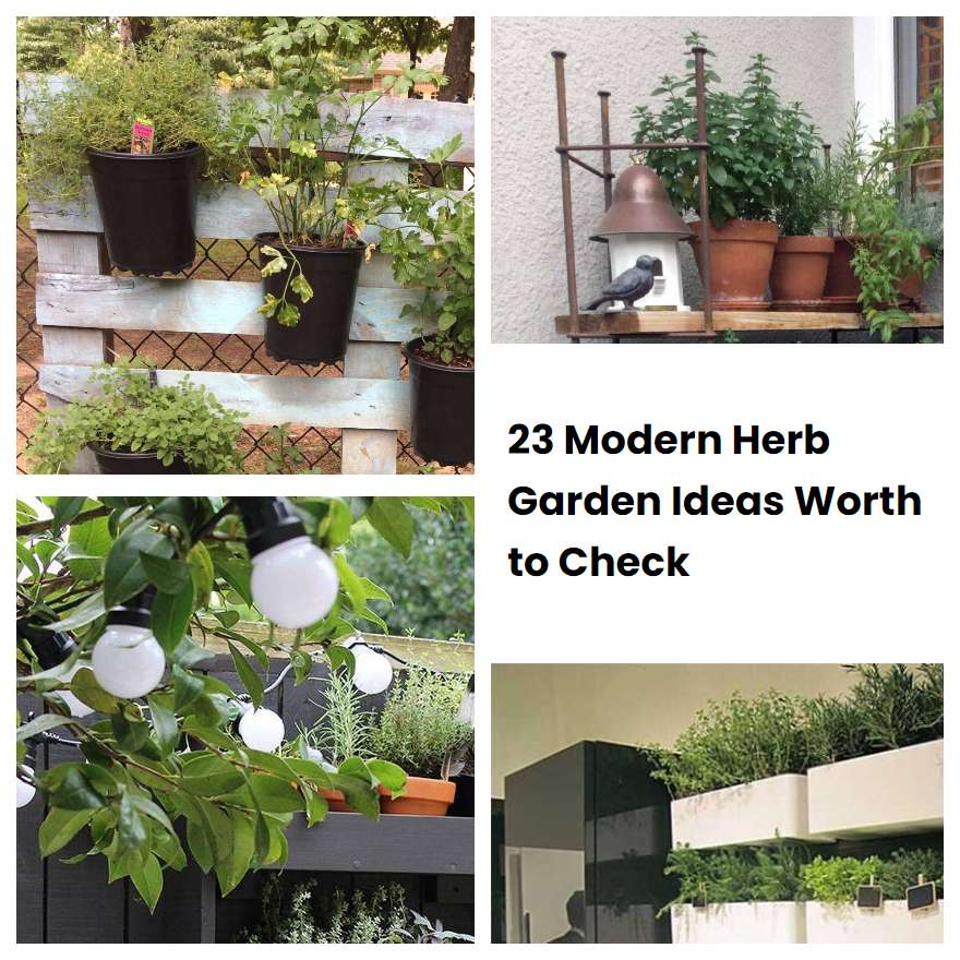 23 Modern Herb Garden Ideas Worth to Check | SharonSable