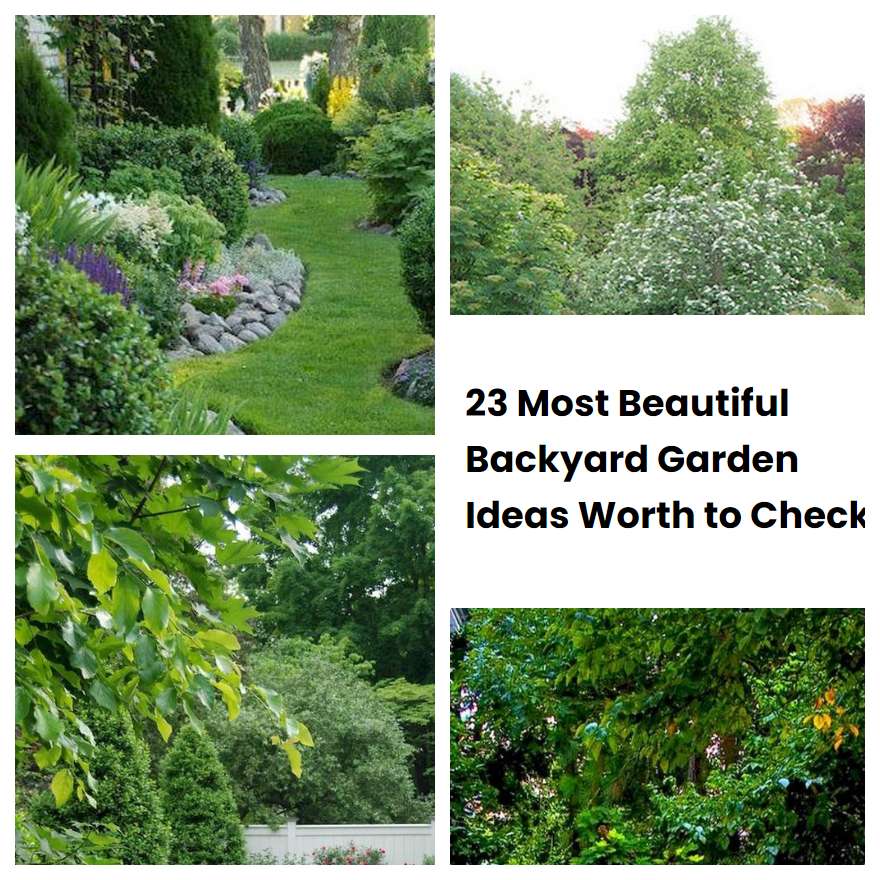 23 Most Beautiful Backyard Garden Ideas Worth to Check | SharonSable