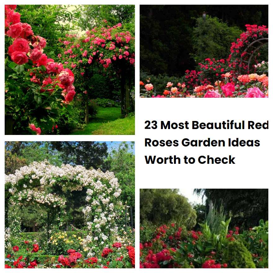23 Most Beautiful Red Roses Garden Ideas Worth to Check | SharonSable