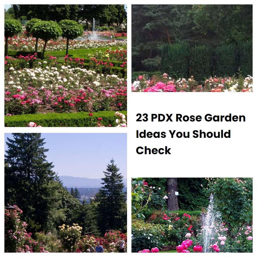 23 PDX Rose Garden Ideas You Should Check | SharonSable