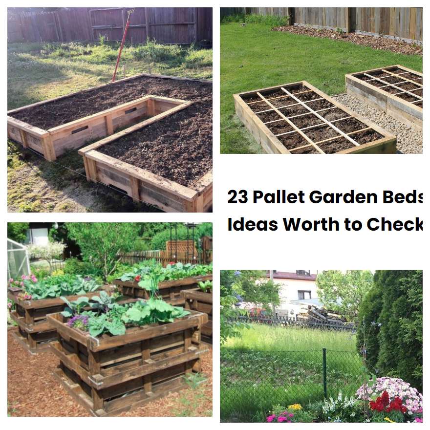 23 Pallet Garden Beds Ideas Worth To Check Sharonsable
