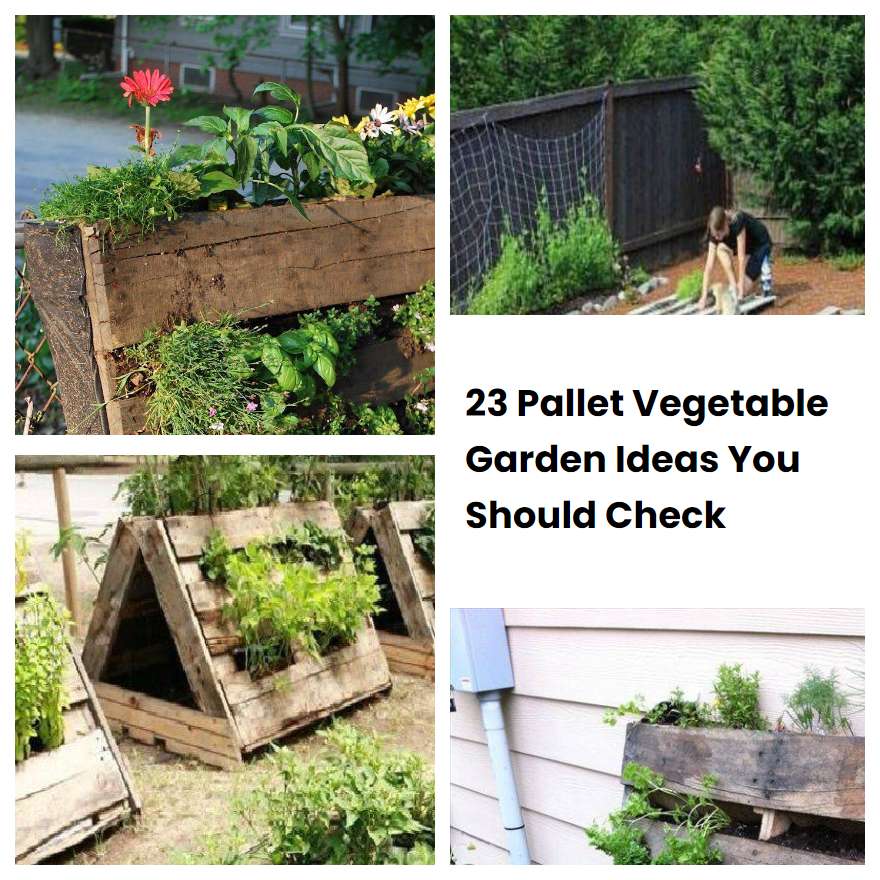 23 Pallet Vegetable Garden Ideas You Should Check | SharonSable