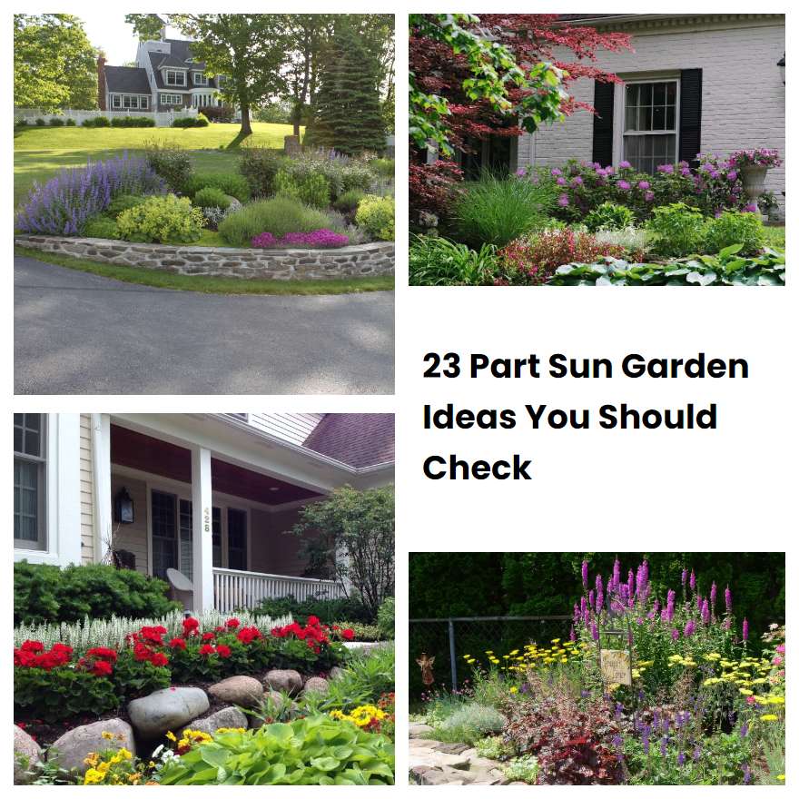23 Part Sun Garden Ideas You Should Check | SharonSable