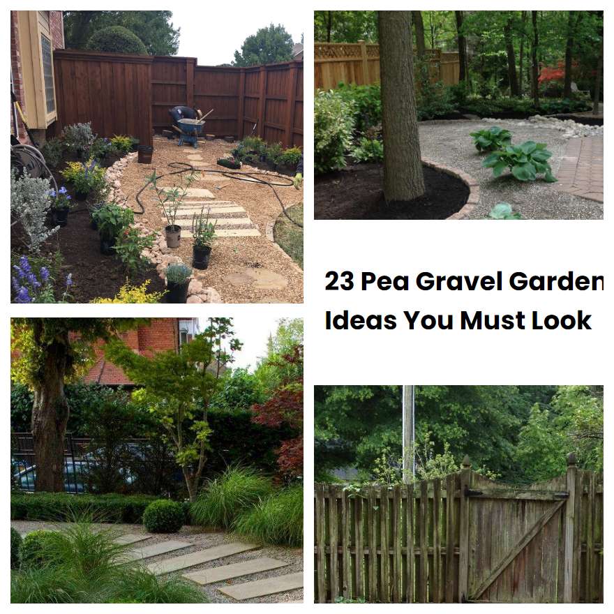 23 Pea Gravel Garden Ideas You Must Look | SharonSable