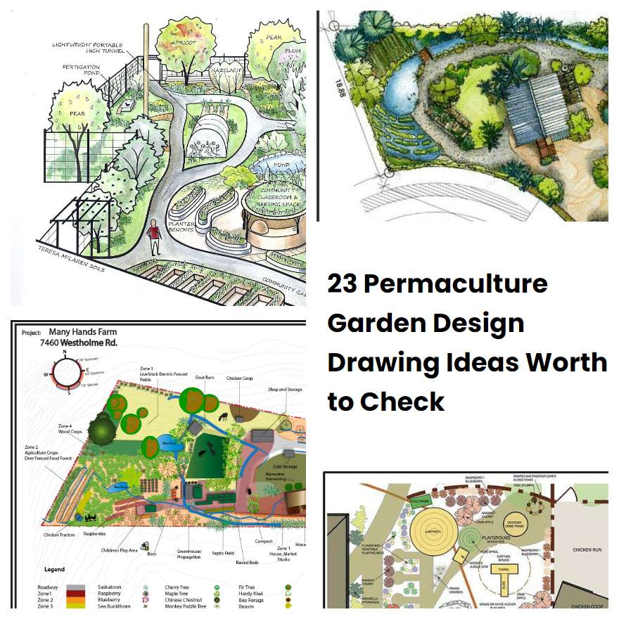 23 Permaculture Garden Design Drawing Ideas Worth to Check | SharonSable