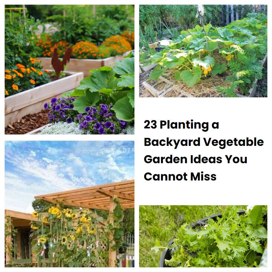 23 Planting a Backyard Vegetable Garden Ideas You Cannot Miss | SharonSable