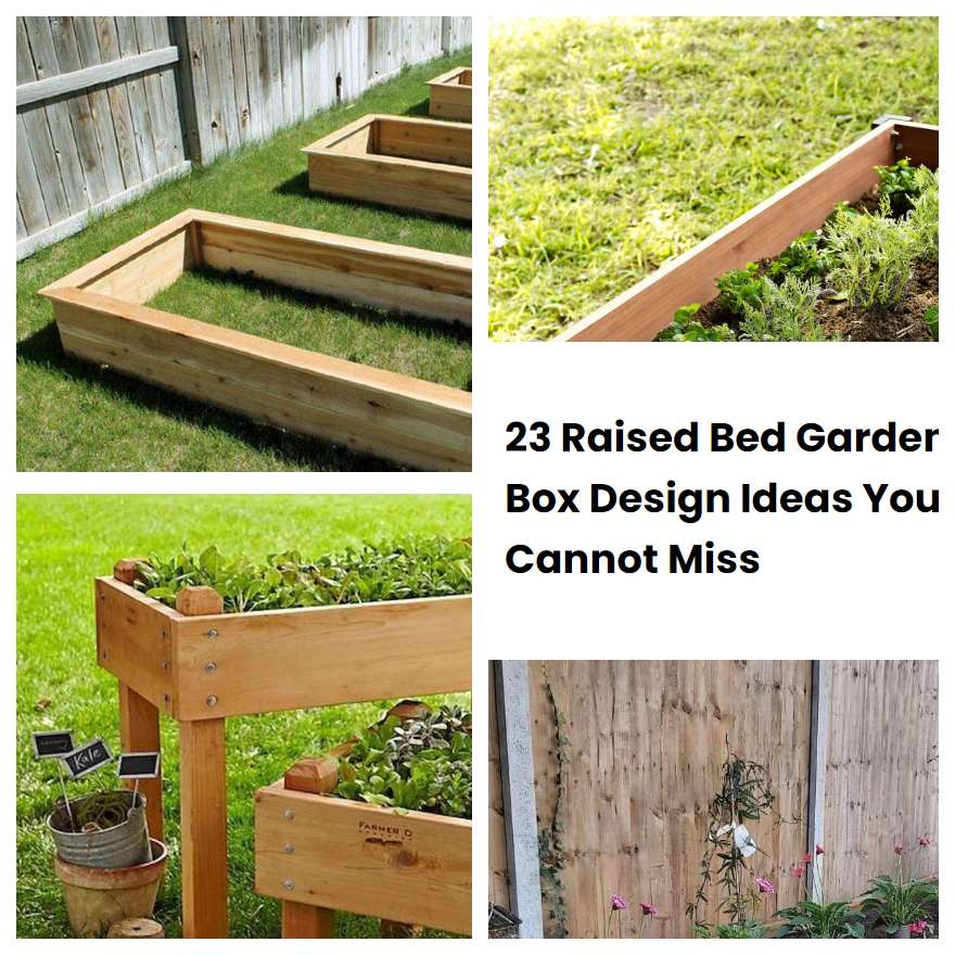 23 Raised Bed Garden Box Design Ideas You Cannot Miss | SharonSable