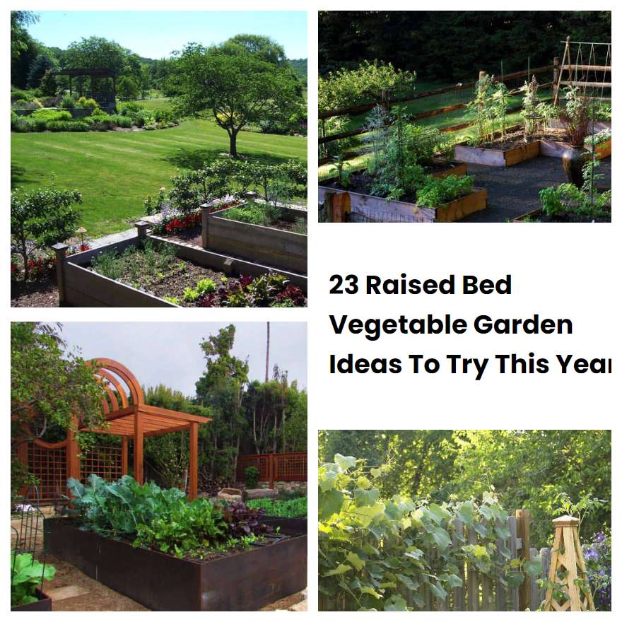 23 Raised Bed Vegetable Garden Ideas To Try This Year | SharonSable
