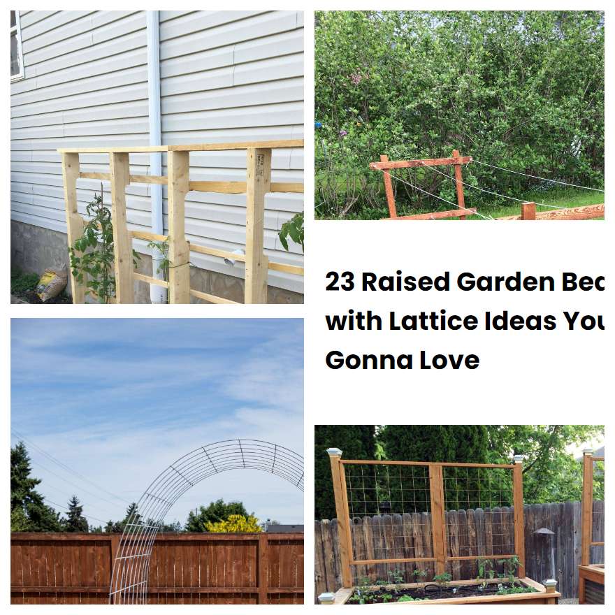 23 Raised Garden Bed with Lattice Ideas You Gonna Love | SharonSable