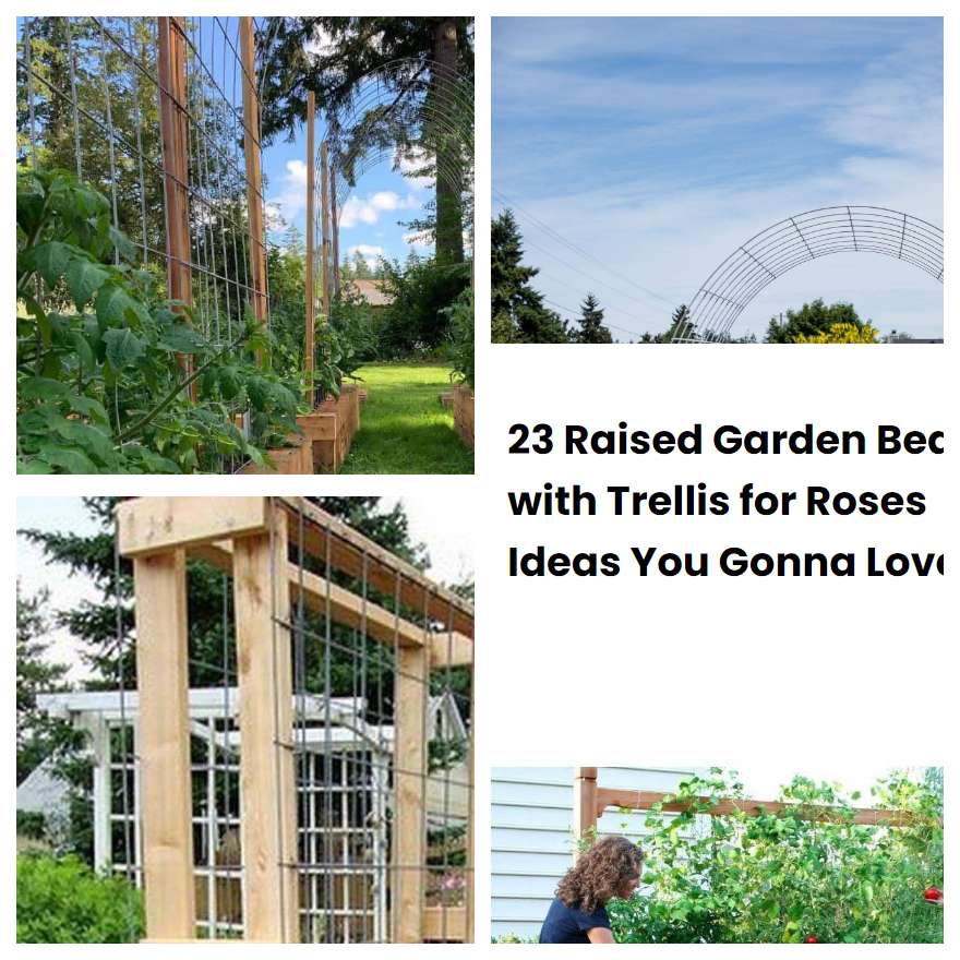 23 Raised Garden Bed with Trellis for Roses Ideas You Gonna Love ...