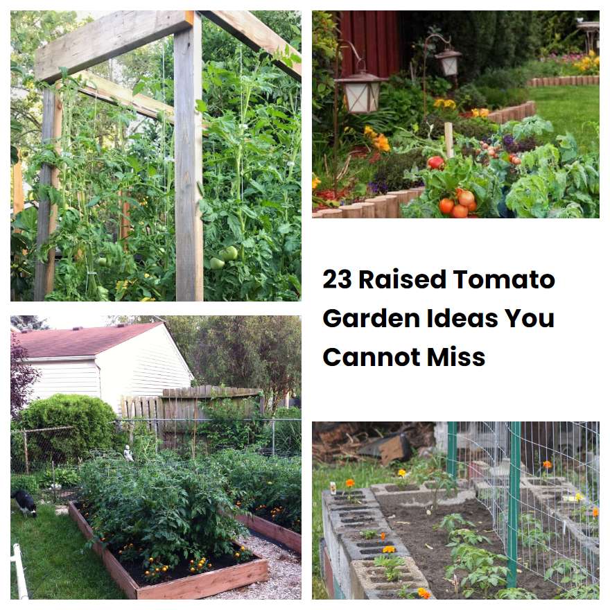 23 Raised Tomato Garden Ideas You Cannot Miss | SharonSable