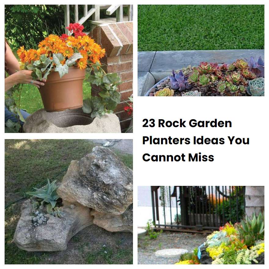 23 Rock Garden Planters Ideas You Cannot Miss | SharonSable