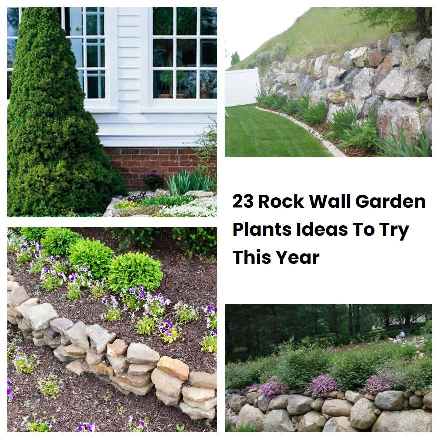 23 Rock Wall Garden Plants Ideas To Try This Year Sharonsable