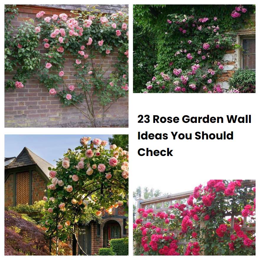 23 Rose Garden Wall Ideas You Should Check | SharonSable