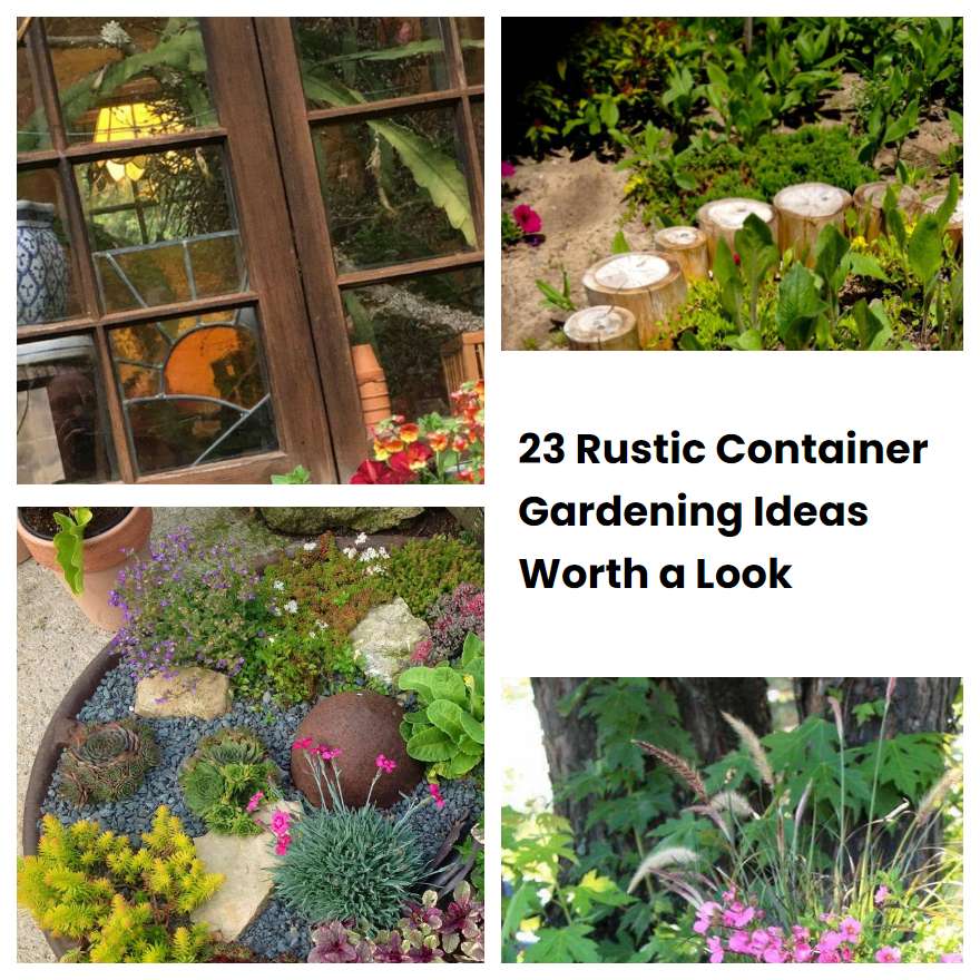 23 Rustic Container Gardening Ideas Worth a Look | SharonSable