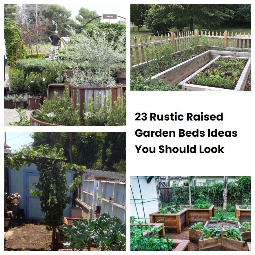 15 Garden Archway with Flower Ideas To Try This Year | SharonSable