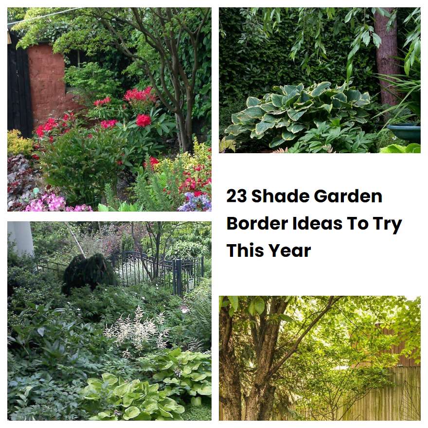 23 Shade Garden Border Ideas To Try This Year | SharonSable