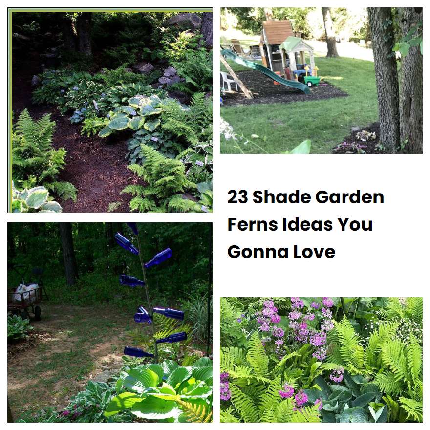 23 Shade Garden Ferns Ideas You Gonna Love | SharonSable