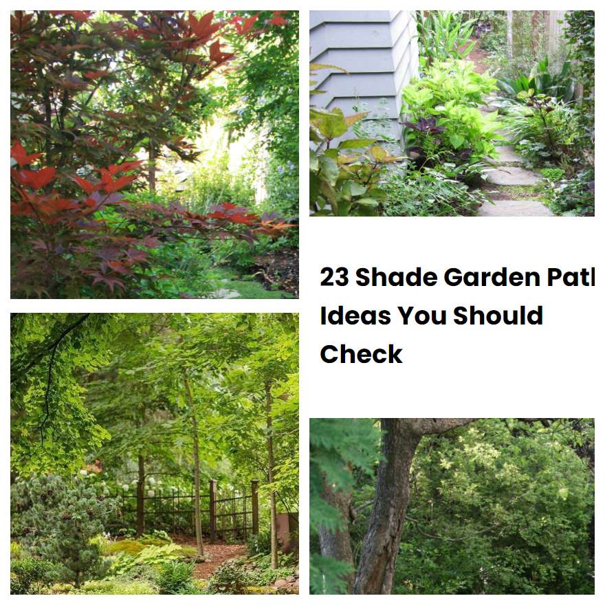 23 Shade Garden Path Ideas You Should Check | SharonSable