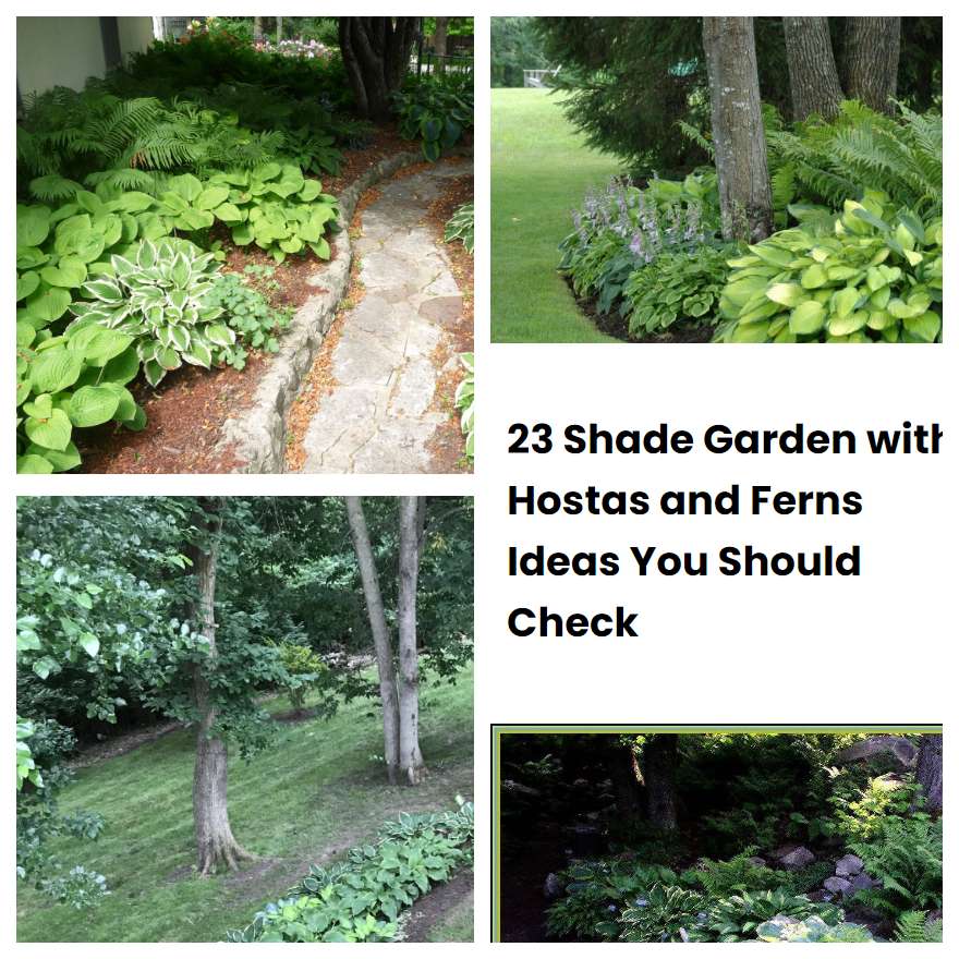 23 Shade Garden With Hostas And Ferns Ideas You Should Check Sharonsable