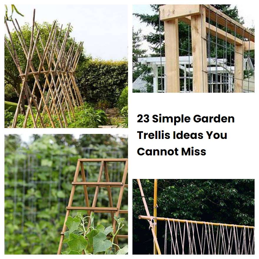 23 Simple Garden Trellis Ideas You Cannot Miss | SharonSable