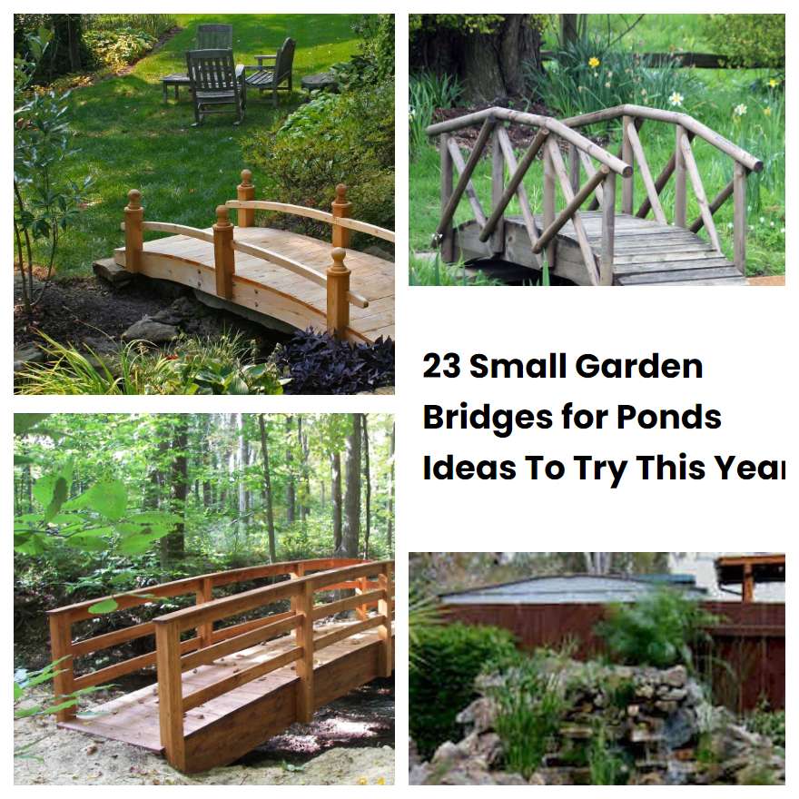 23 Small Garden Bridges for Ponds Ideas To Try This Year | SharonSable