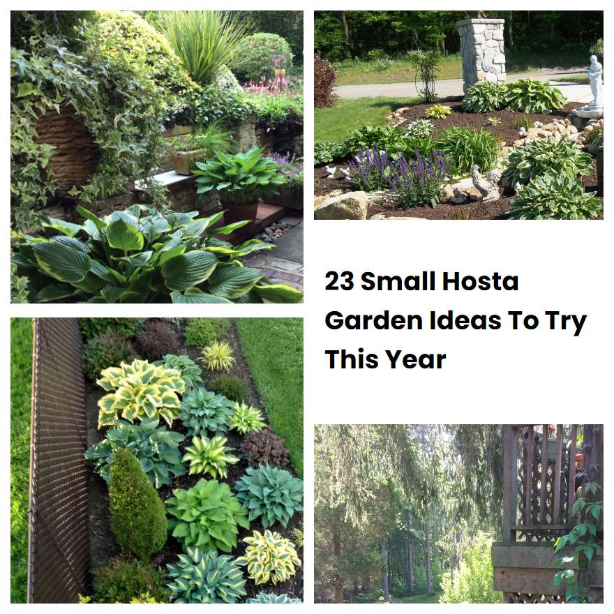 23 Small Hosta Garden Ideas To Try This Year | SharonSable