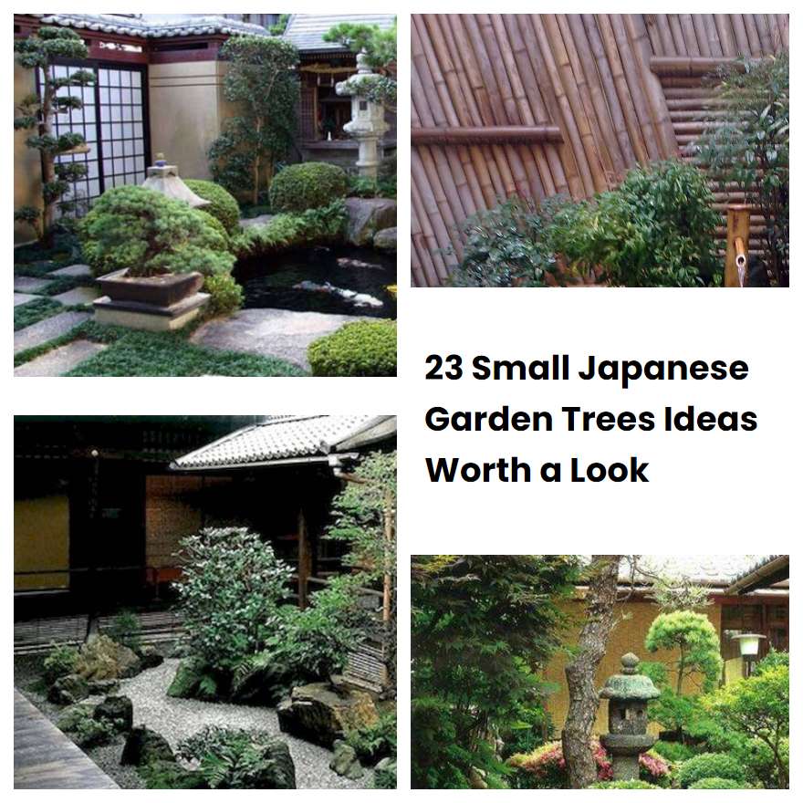 23 Small Japanese Garden Trees Ideas Worth a Look | SharonSable