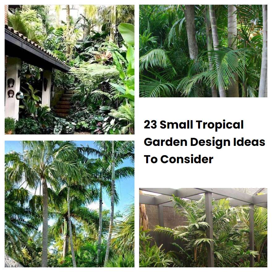 23 Small Tropical Garden Design Ideas To Consider | SharonSable