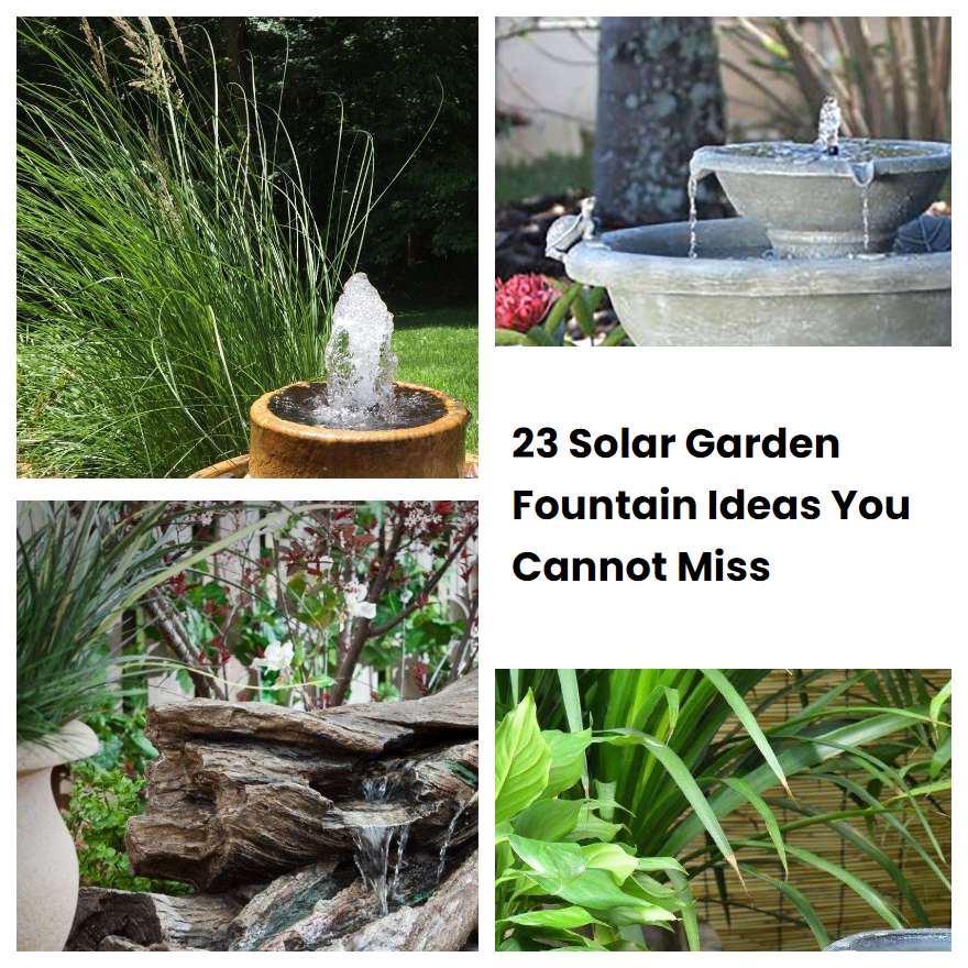29 Repurposed Garden Containers Ideas To Try This Year | SharonSable