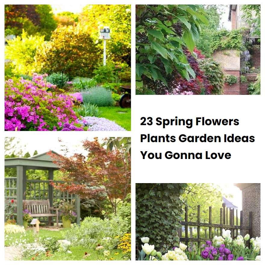 23 Spring Flowers Plants Garden Ideas You Gonna Love | SharonSable