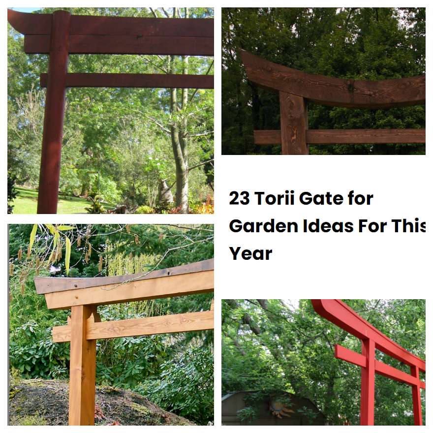23 Torii Gate for Garden Ideas For This Year | SharonSable