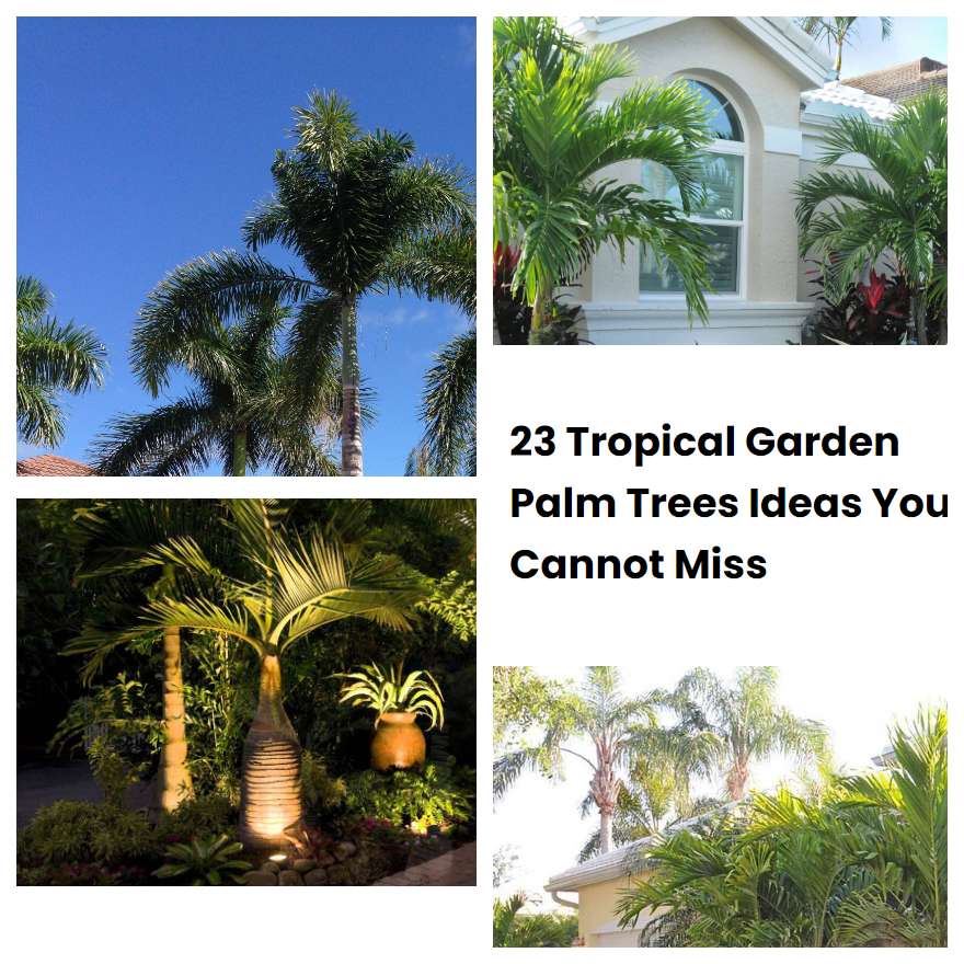 23 Tropical Garden Palm Trees Ideas You Cannot Miss | SharonSable