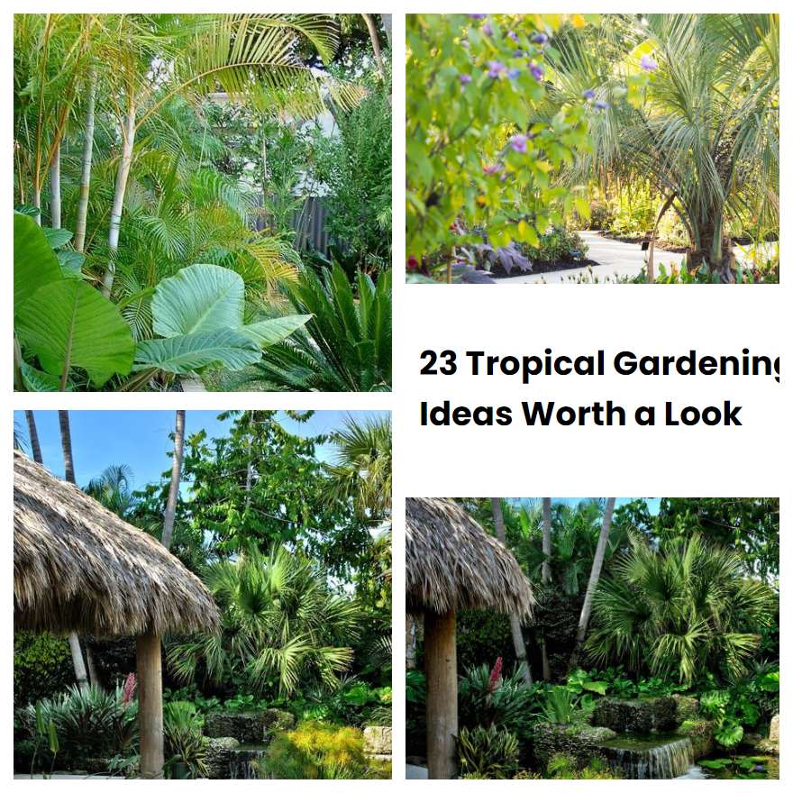 23 Tropical Gardening Ideas Worth a Look | SharonSable