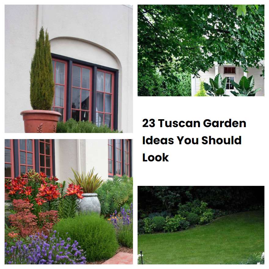 23 Tuscan Garden Ideas You Should Look | SharonSable