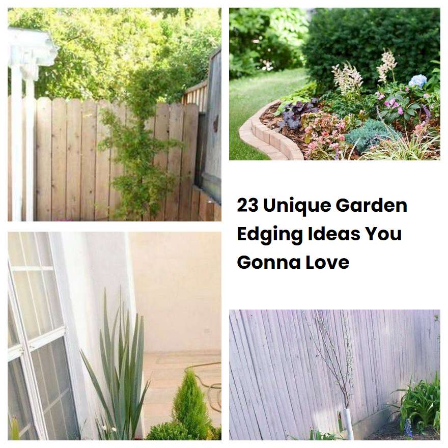 23 Unique Garden Edging Ideas You Gonna Love | SharonSable