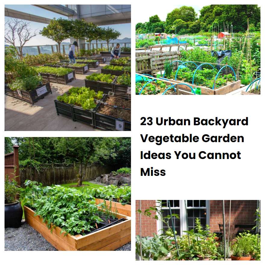 23 Urban Backyard Vegetable Garden Ideas You Cannot Miss | SharonSable
