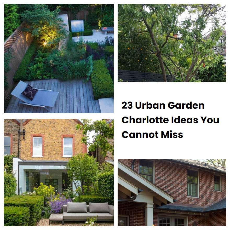 23 Urban Garden Charlotte Ideas You Cannot Miss | SharonSable