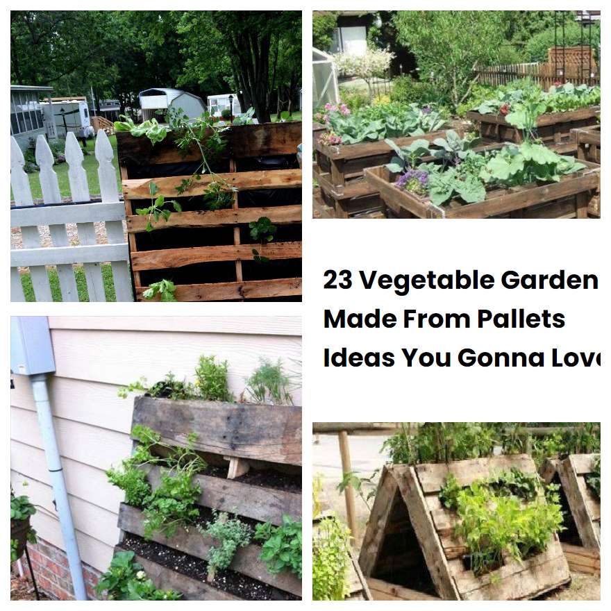 23 Vegetable Garden Made From Pallets Ideas You Gonna Love | SharonSable