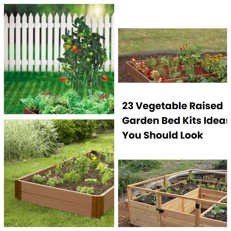 23 Vegetable Raised Garden Bed Kits Ideas You Should Look Sharonsable