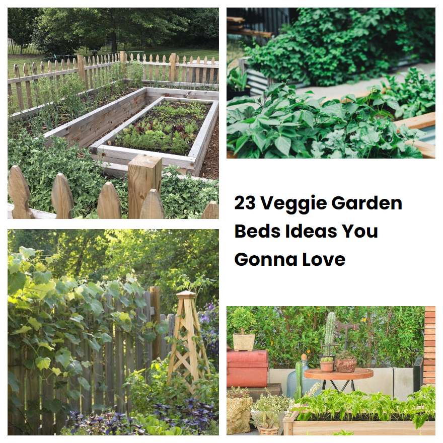 23 Veggie Garden Beds Ideas You Gonna Love | SharonSable